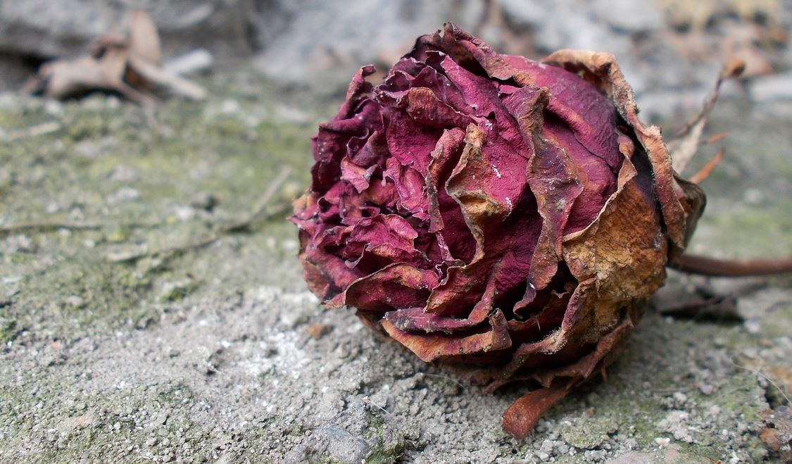 Ugly Gifts: Our Top 5 Suggestions! - MysterU